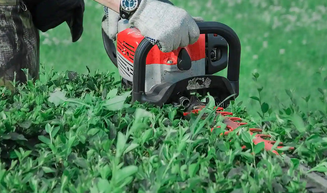 Modern Electric Garden Tools: A Complete Guide for Every Gardener - The ...