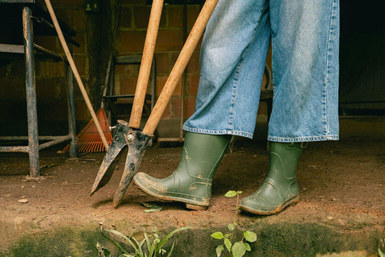 Why Understanding the Nature of Your Yard Waste Matters More Than Speed ...