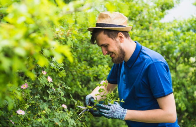 How Customized Lawn Care Programs Boost Curb Appeal - The Baronton
