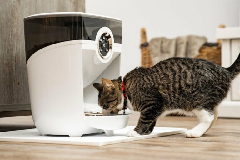 The Best Smart Cat Gadgets for Modern Pet Parents - The Baronton